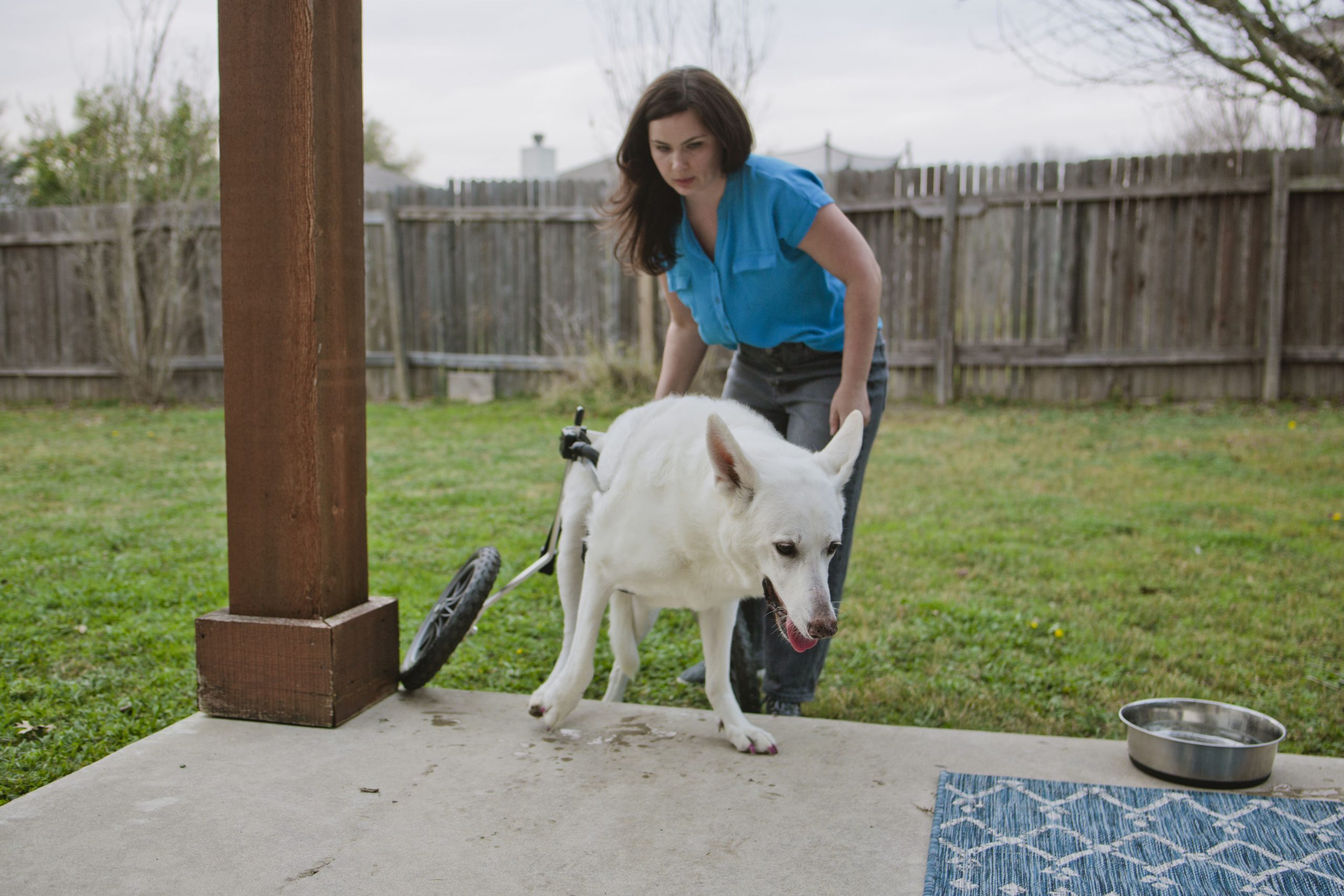 Tillie | Celebration Session