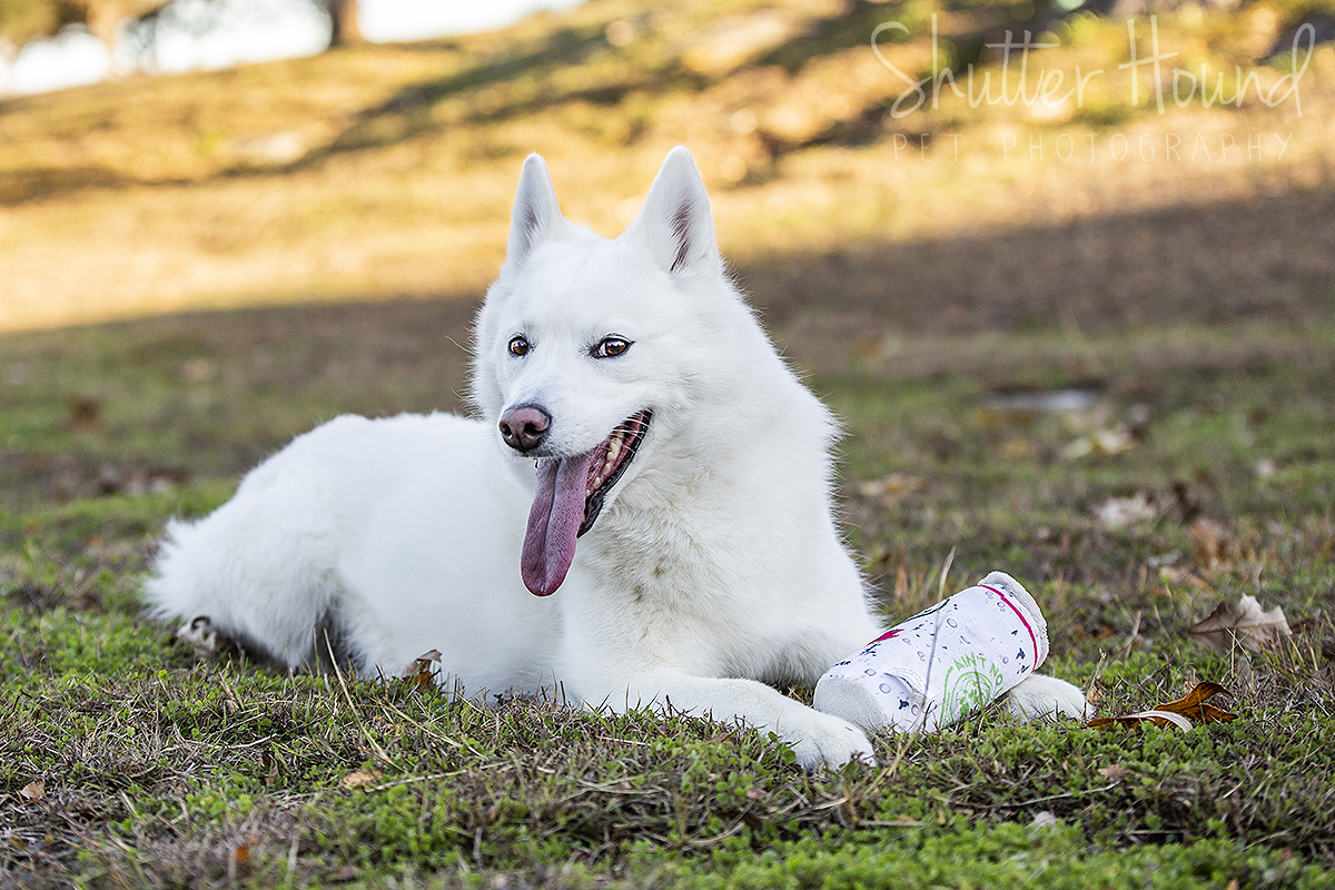 Xena | Signature Session