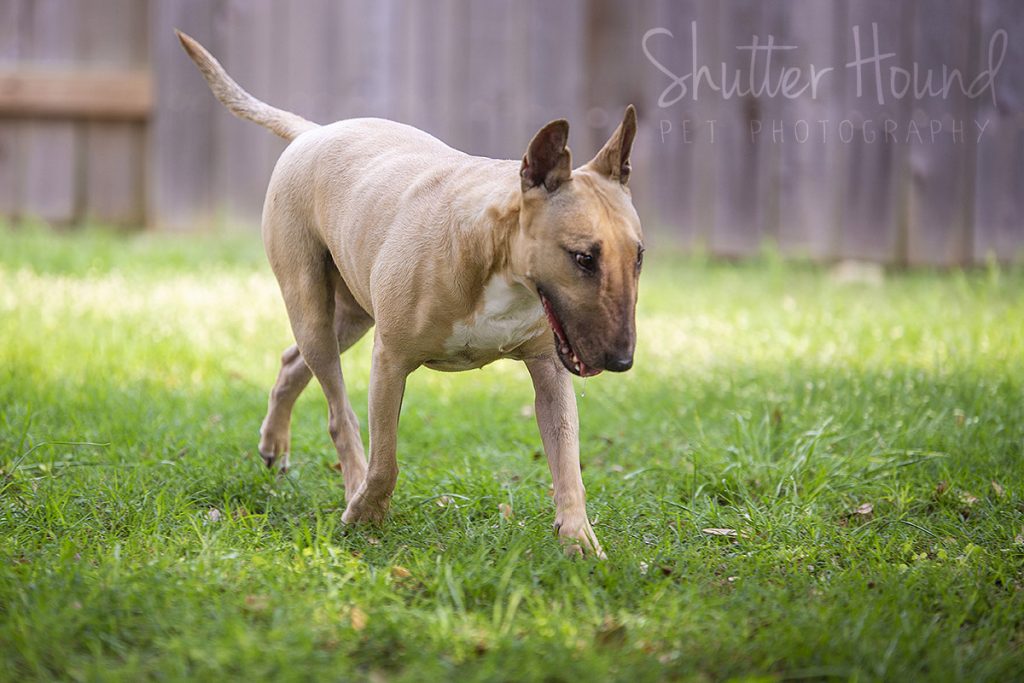 Monster | Signature Session