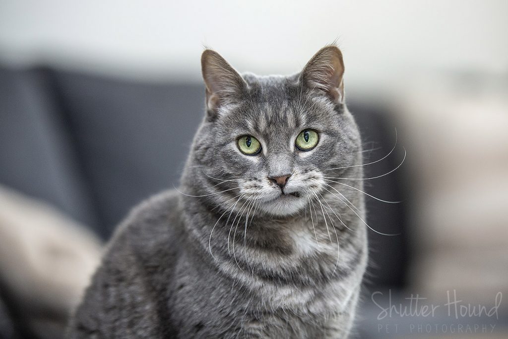 Pepper Potts + Jarvis | Together Session