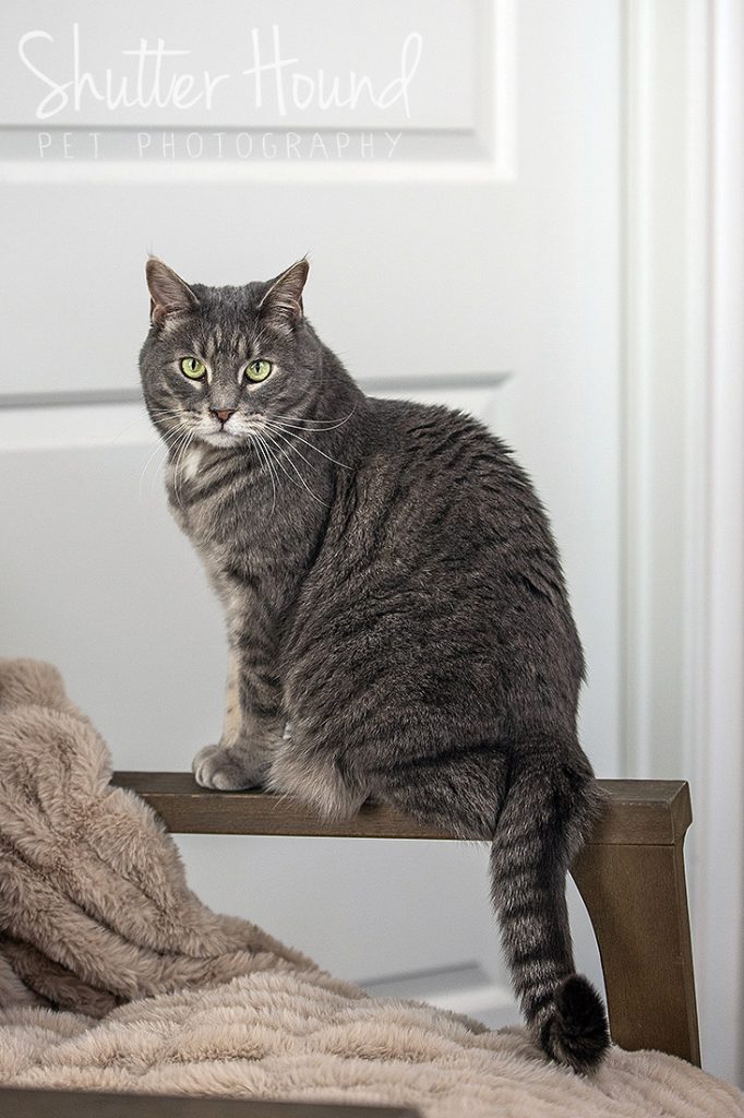 Pepper Potts + Jarvis | Together Session