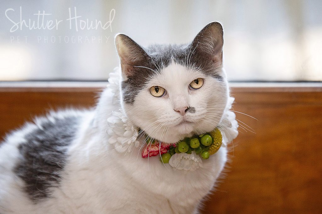 Roxy + Juniper | Together Session