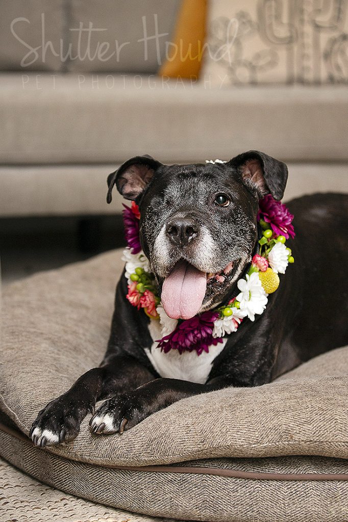 Roxy + Juniper | Together Session