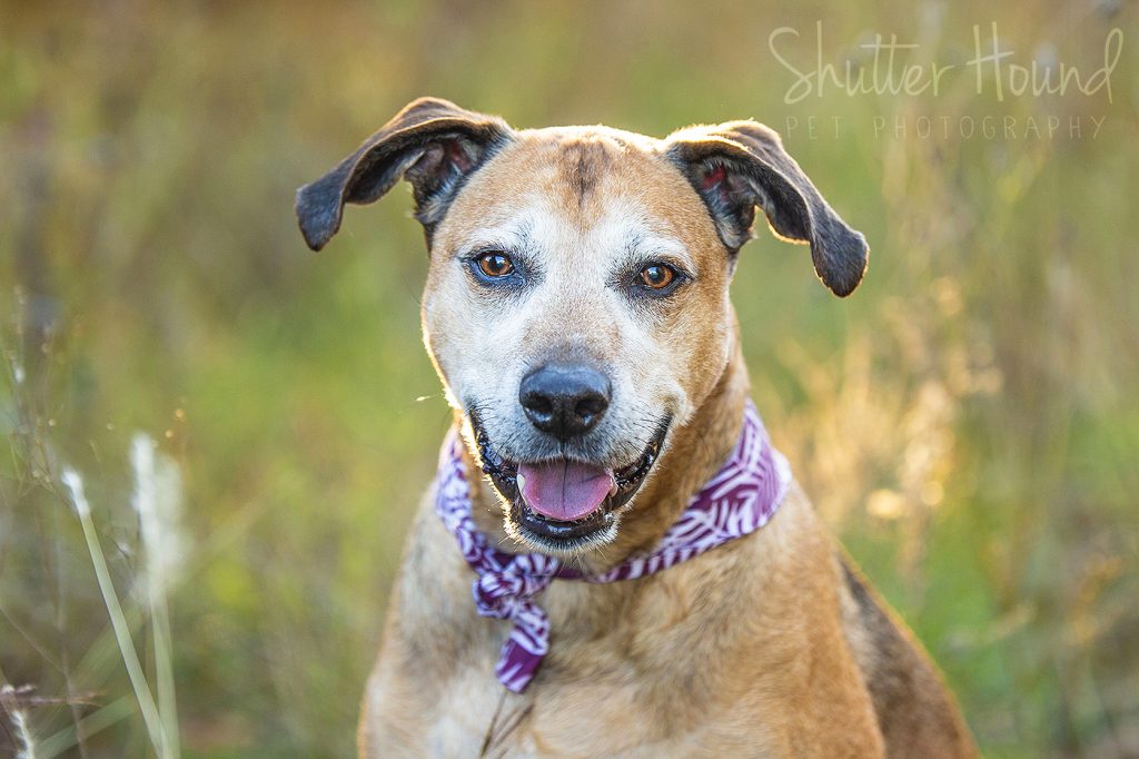 Macklin | Together Session