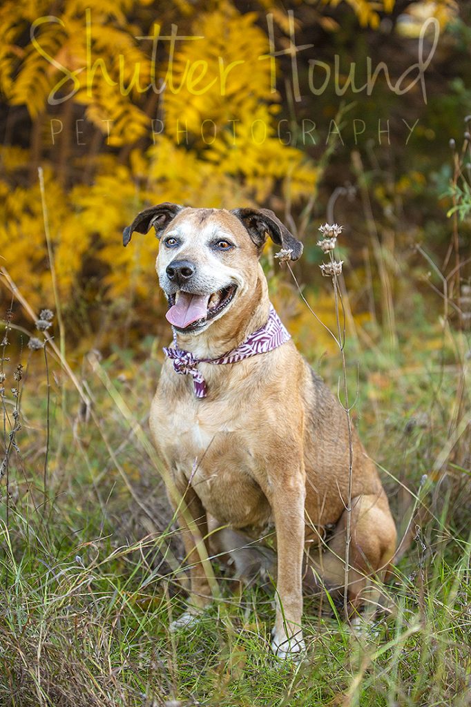 Macklin | Together Session